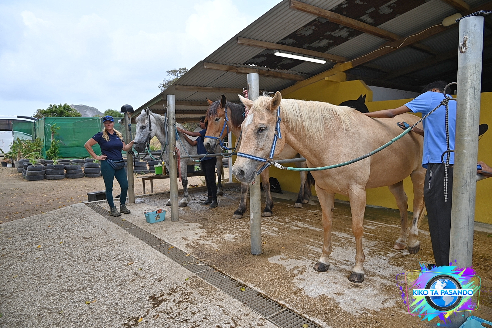 DSC_7106 – KIKO TA PASANDO