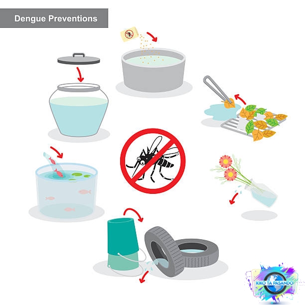 How to prevent dengue – KIKO TA PASANDO